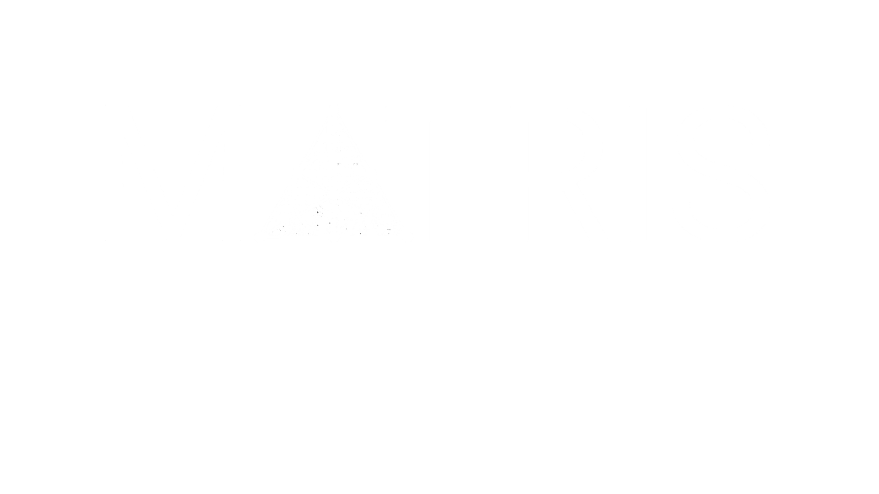 Edgar Weippl and Dimitris Simos joined COST Actions – Matris